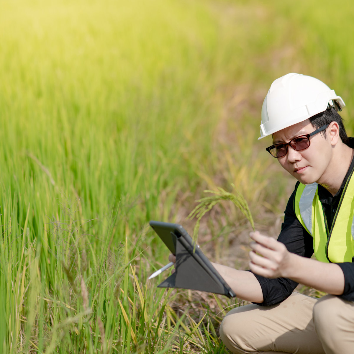 Academic Programs - Asian Institute of Technology