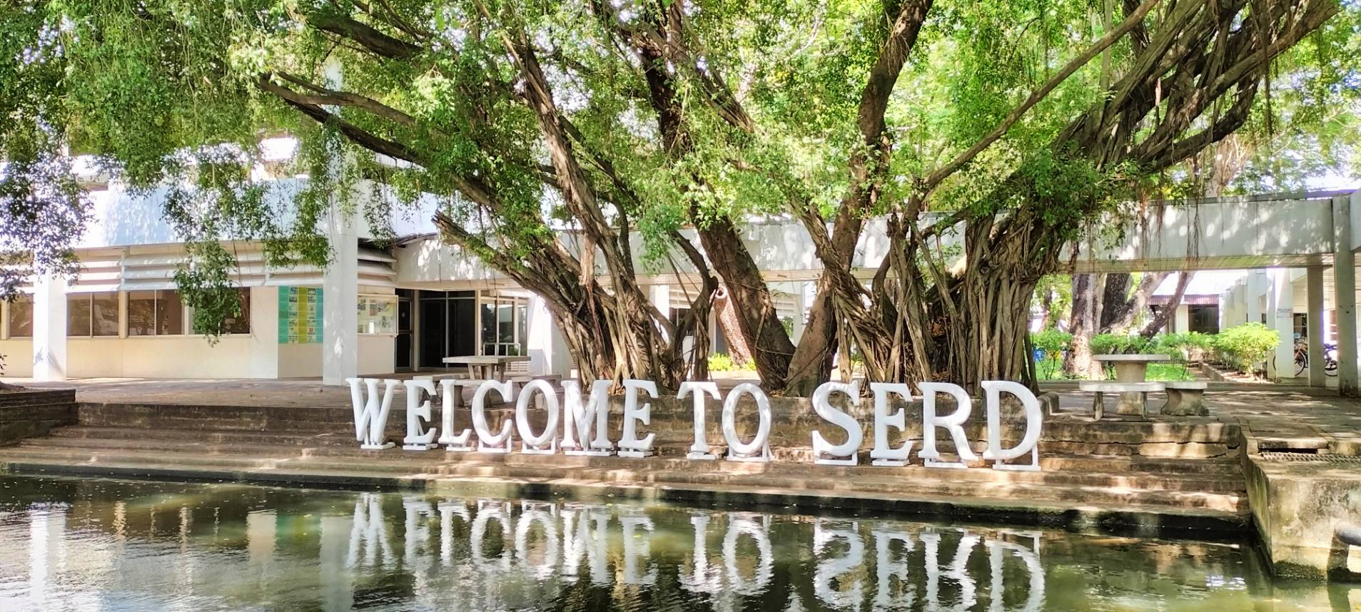 Professor Abdul Salam appointed as the new Dean of the School of ...