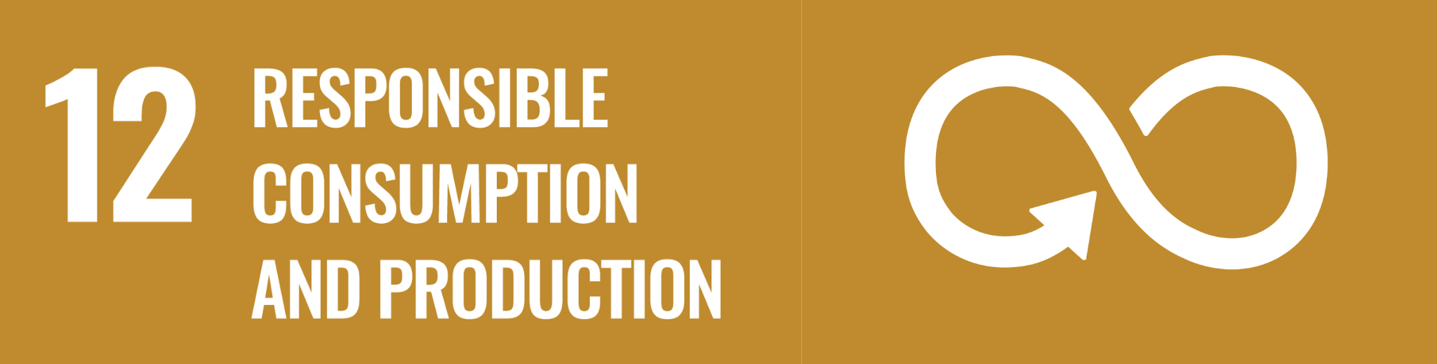 SDG 12 - Responsible Consumption and Production - Asian Institute of ...