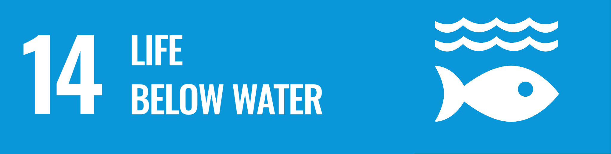 SDG 14 - Life Below Water - Asian Institute of Technology