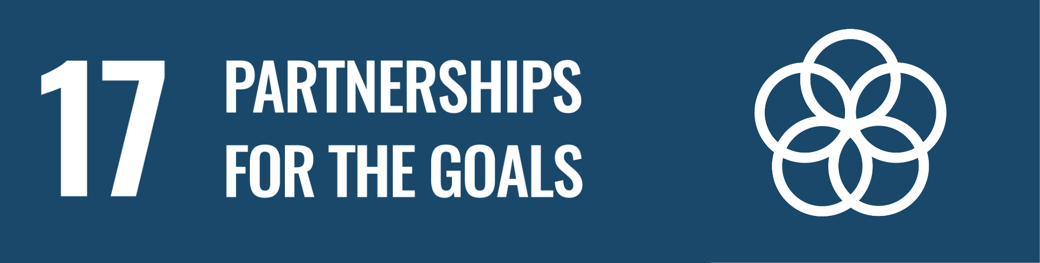 SDG 17 - Partnerships for the Goals - Asian Institute of Technology