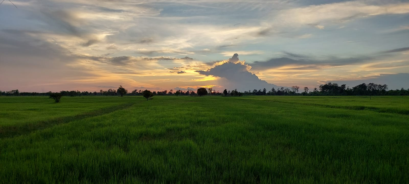 MicroSPARK: Harnessing Microbial Power to Tackle Greenhouse Gases ...